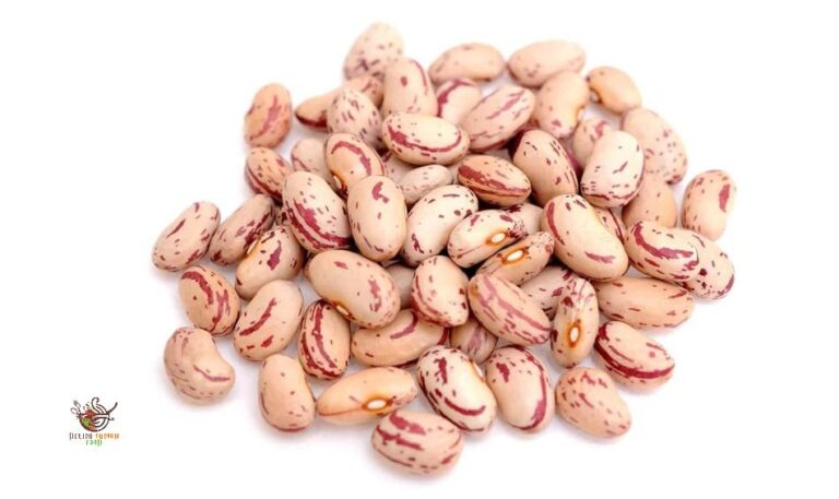 12 Best Pinto Bean Substitute Picks: Taste the Difference DelishFusionFood